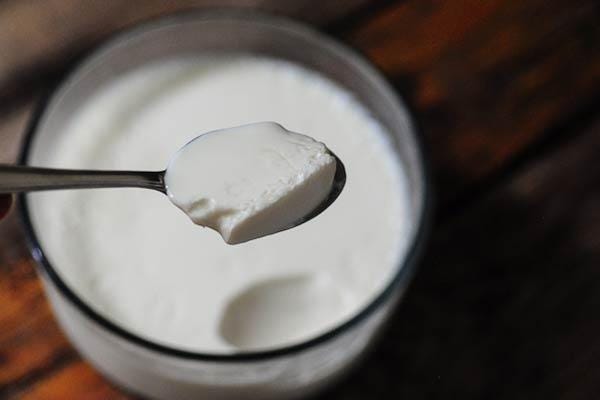 Set Yoghurt Additives - Aceingredients - Medium