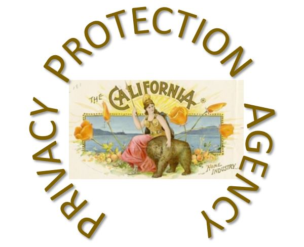 A Closer Look at the CPRA’s Privacy Protection Agency (Plus Some Fact ...