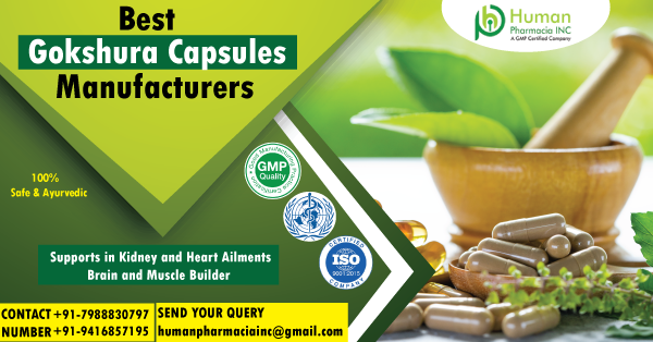 India’s Leading Gokshura Capsules Suppliers - Human Pharmacia - Medium