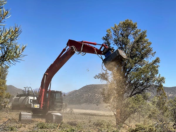 BLM thins trees improving eastern Nevada sagebrush communities | by ...