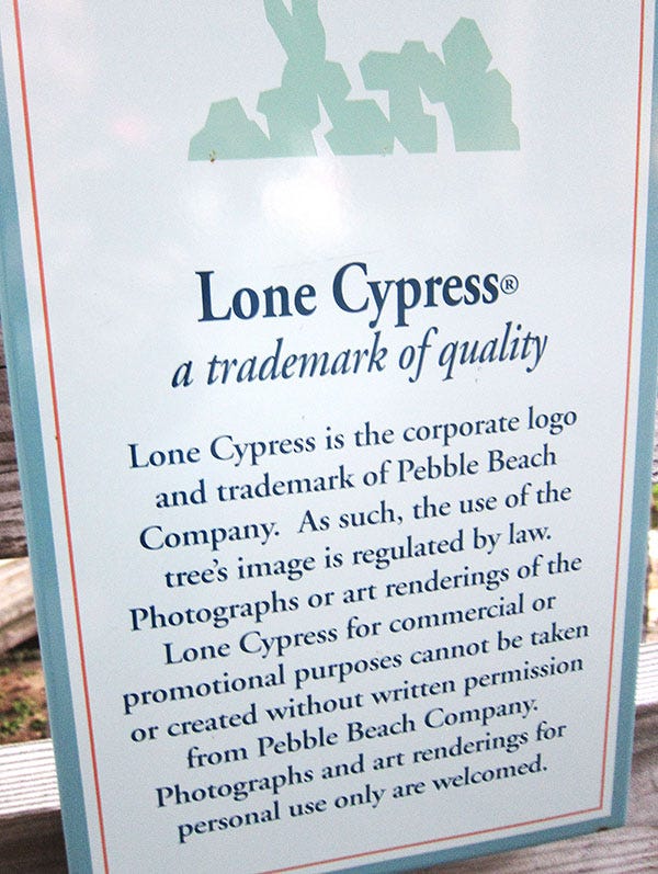 Don’t Talk About Our Tree: Pebble Beach’s Lone Cypress Trademark | by ...