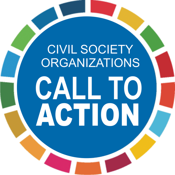 Implementing the SDGs: The Role of Civil Society Organizations | by AML ...