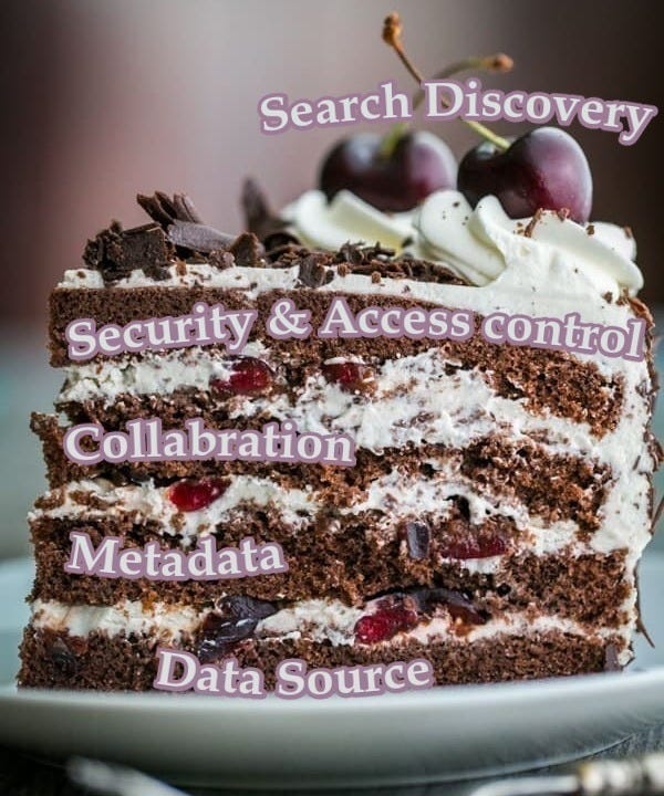 Bringing the Flavour of Black Forest Cake to Data Governance: Building ...
