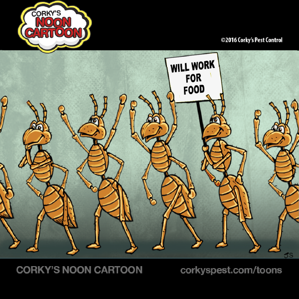 Leave us a comment telling us how you feel about Corky’s Noon Cartoon ...
