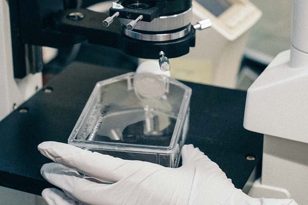 Cell self-destruction and petitions | by Research Update | Medium
