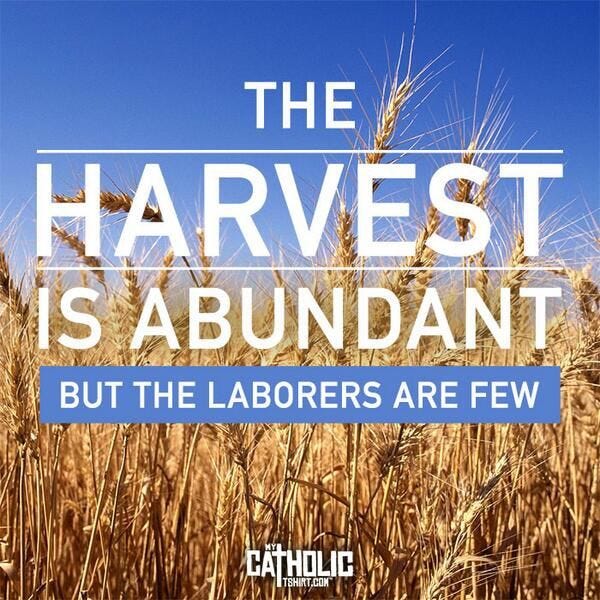 Labourers and Harvest…. We need to pray for ?? | by arun simon | Medium