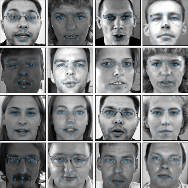 Facial Keypoints Detection Using Mobilenetv2 Architecture By Pooja