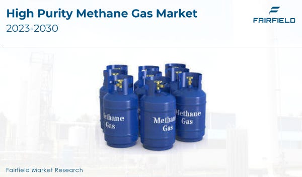 High Purity Methane Gas Market: Market Size & Growth Analysis 2023–2030 ...