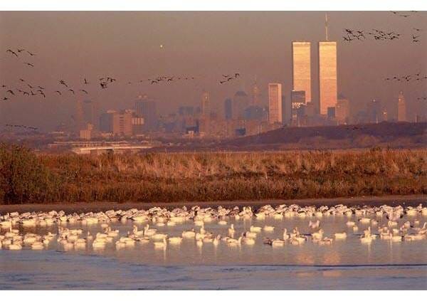 A testimonial of the day — 9/11/2001 | by Manuel F Valencia | Medium