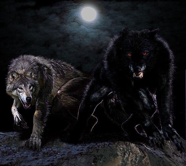 My Name is Werewolf. I never told anybody this, but…I am a… | by Kevin ...