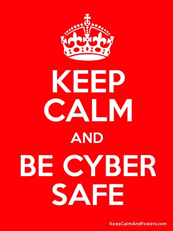 A ‘friend’ by any other name: important cyber safety issues for ...