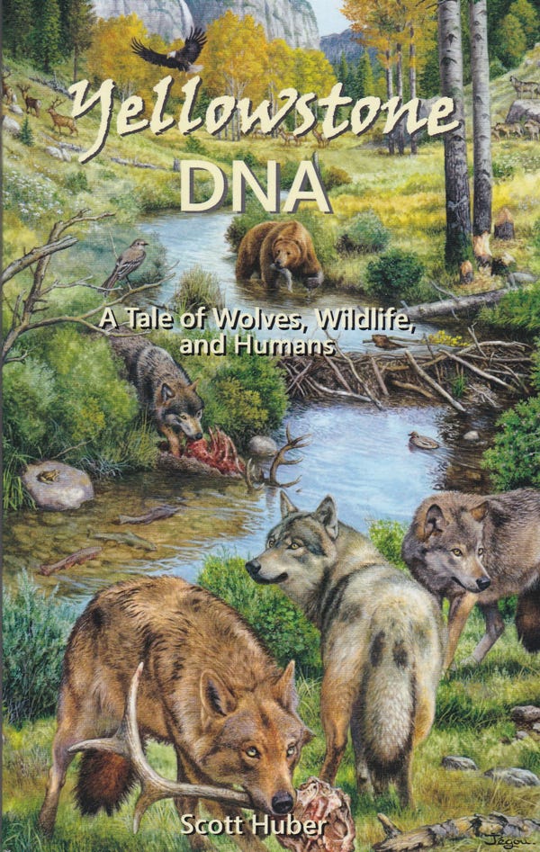 “Yellowstone DNA: A Tale Of Wolves, Wildlife, And Humans” | by Dan ...