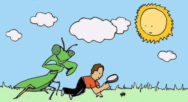 The Art of Bug Reporting. The vagueness of the “it doesn’t work”… | by ...