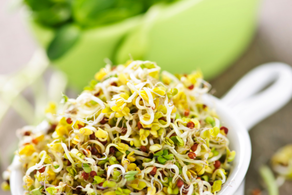 7 Health Benefits of Sprouts for Weight Loss with Recipes | by Md Abdul ...