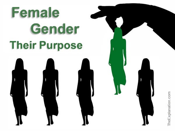 Female Gender, its Significance and Why God Created it | by Sam Kneller ...