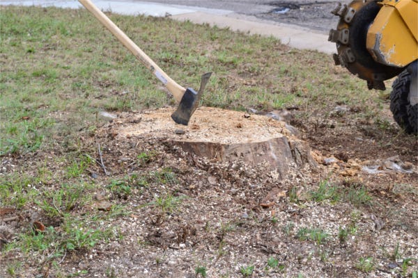 Stump & Grind. We are a small family business serving… | by Joshua ...