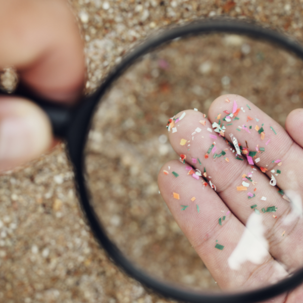 The Hidden Dangers of Microfiber: Unmasking the Microplastic Menace ...