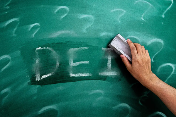 The Quiet Erasure. What Parents Need to Know About How… | by DEI for ...