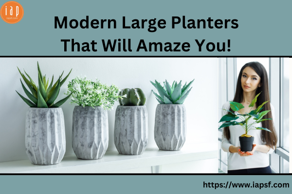 Modern Large Planters the Best Choice for your Planting Plants | IAPSF ...