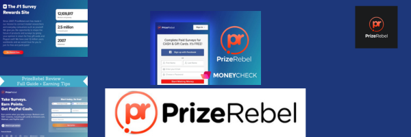 PrizeRebel - Online Earning Ideas - Medium