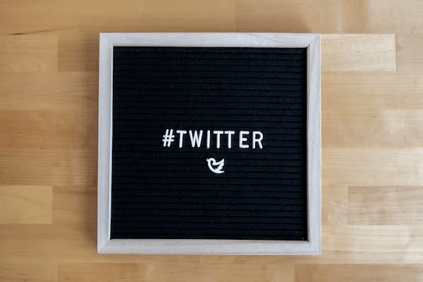5 Best Twitter Alternatives Available For 2023 | by Prashantegupta | Medium