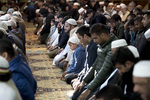 The Two Most Important Institutions for British Muslims | by National ...