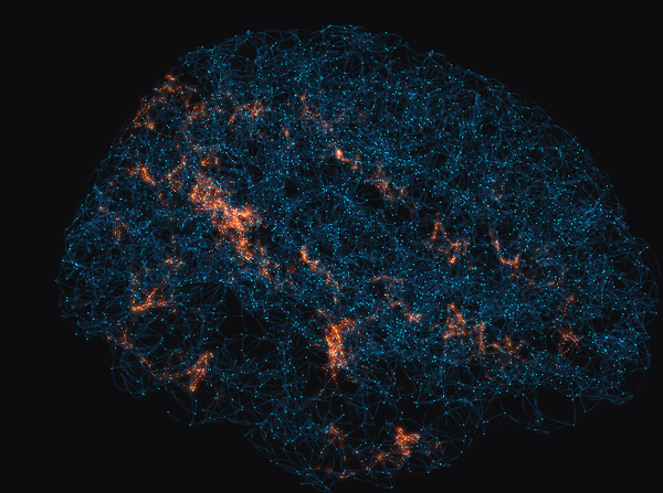Live updates from #SfN16. Hello world! | by Anatoly Buchin | PLOS Comp ...