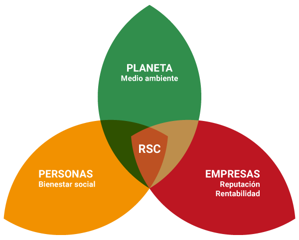 Importancia de la Responsabilidad Social Corporativa en las ...