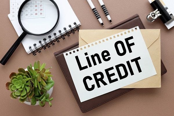 Get your Business To Its Maximum Now w/ the Help of a Credit Line | by ...