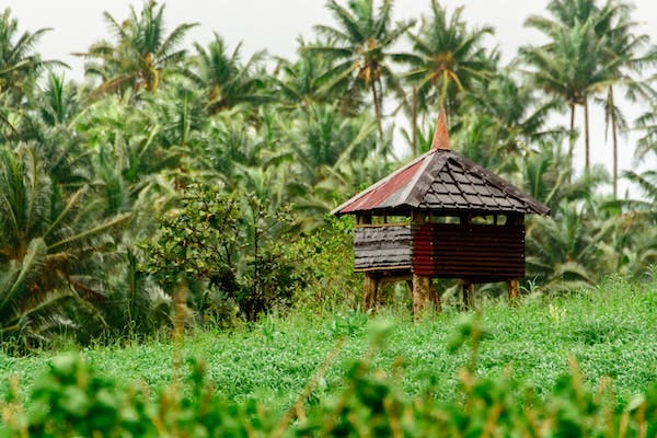 Exploring Nipa Huts in the Philippines: Embracing Traditional Rural ...