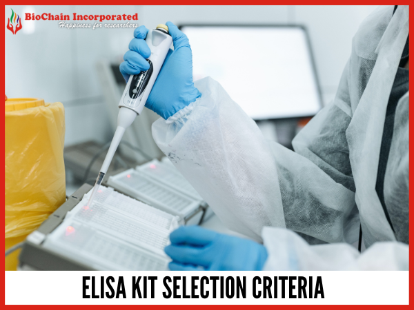 Your ELISA Kit Selection Criteria: Tips To Consider | by BiochainInc ...