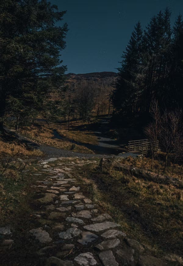The Power of Owning Your Path. To those who always find someone else ...