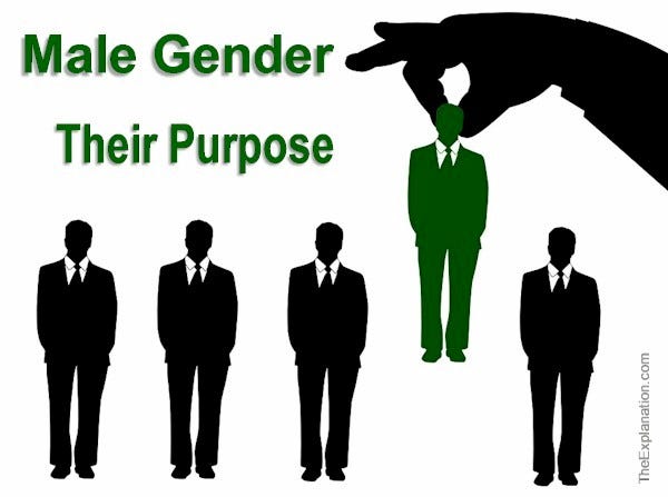 Male Gender — Its Significance and Why God Created it | by Sam Kneller ...