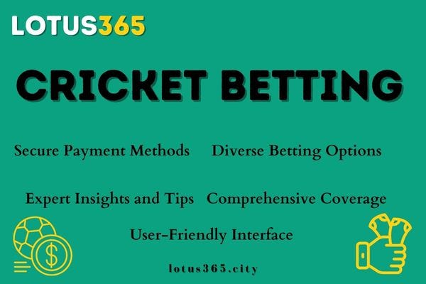 Elevate Your Cricket Betting Experience with Lotus365: A Comprehensive ...