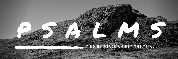 Psalms|Finding Peace Amidst The Trial | by Craft | Medium