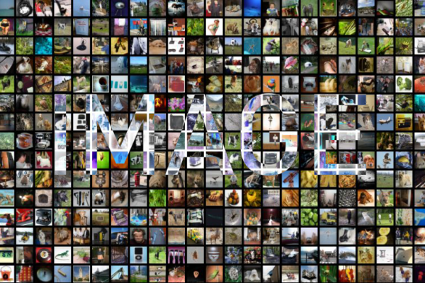 The Future of Image Data Collection and its Impact on ML | by Globose ...