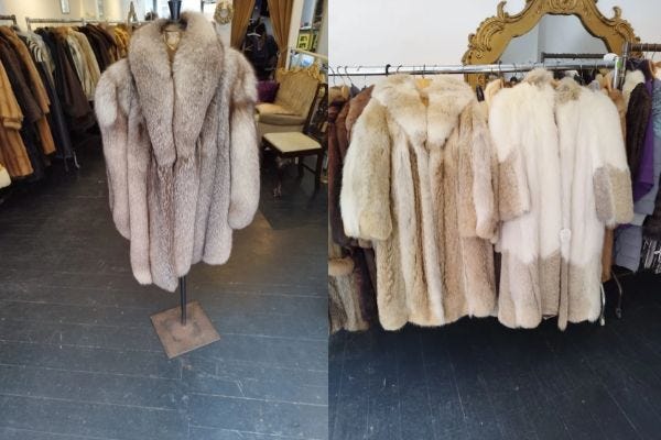 Revamp Your Fur: Find Out The Benefits of Fur Restyling Services | by ...