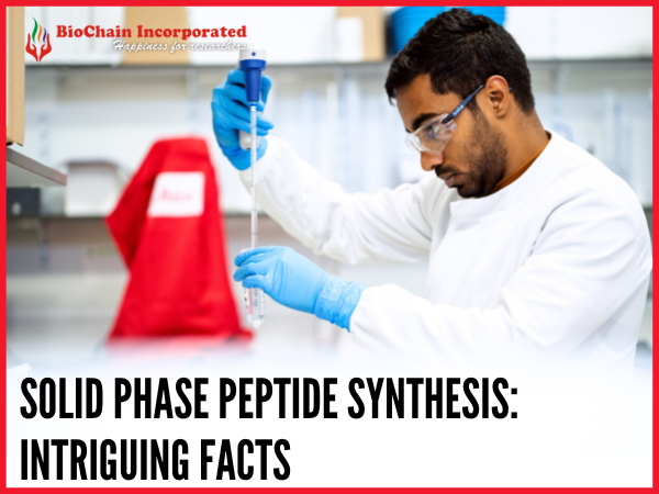 Solid Phase Peptide Synthesis: Intriguing Facts You Should Discover ...
