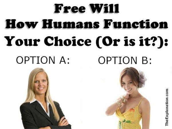 Free Will — We all Possess it But We Can’t Always Utilize it. | by Sam ...