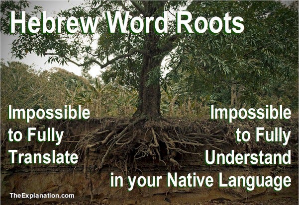 Biblical Hebrew Roots to Anchor your Bible Comprehension | by Sam ...