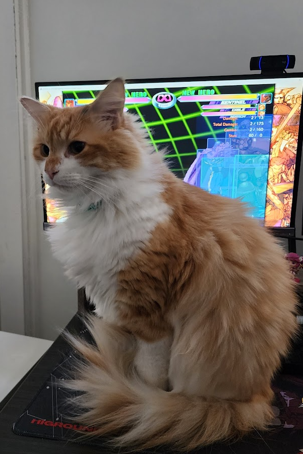 Modern game patch culture, simplified execution, and playing old games ...