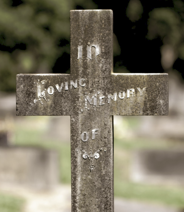 Mrs Pattison’s Plot (Based on a true story) | by Stephen Anastasi | Oct ...