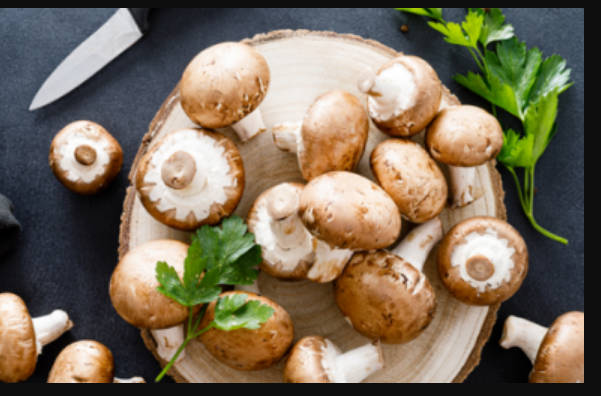 Powerful Reasons to Eat Mushrooms | by Nursemkolk | Medium
