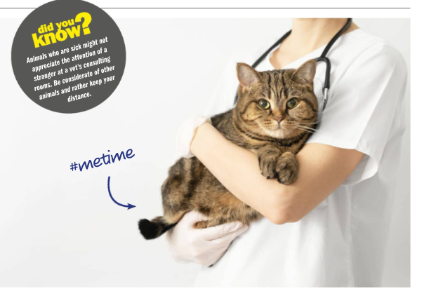 Handling Cats with Care. Tips for Picking Them Up | by WangMimi | Jun ...