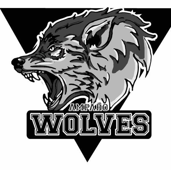 Amparo Wolves e o crescimento do futebol americano no Circuito das ...