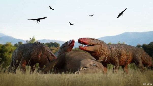 The story of the largest land carnivore after the extinction of the ...