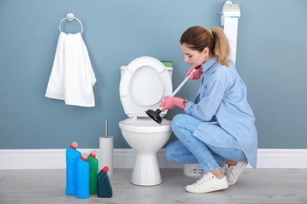 Why should you call a licensed plumber to repair a clogged toilet ...