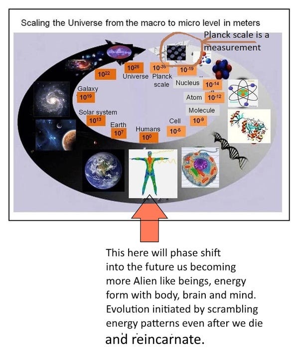 Can evolution still happen in spirit form? | by Siri Perera | May, 2023 ...