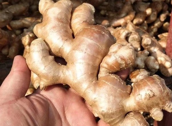 This Is What Happens If You Eat Ginger Every Day For 1 Month - Pavan ...