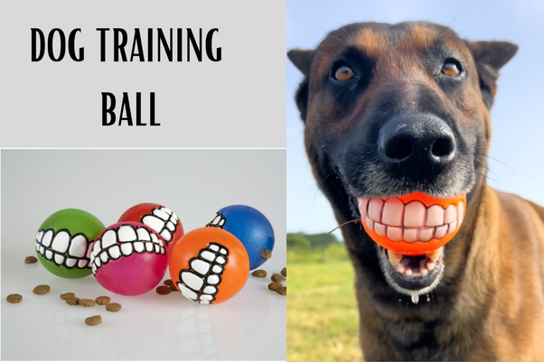 Keep Your Pup Happy and Engaged with the Fun Dog Treat Ball 🤩 | by ...
